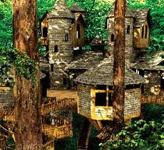 Journey of the Featherless: Real life treehouses!